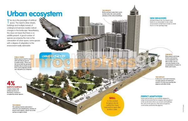 Sol90 | ONLINE DATABANK FOR INFOGRAPHICS AND ILLUSTRATIONS