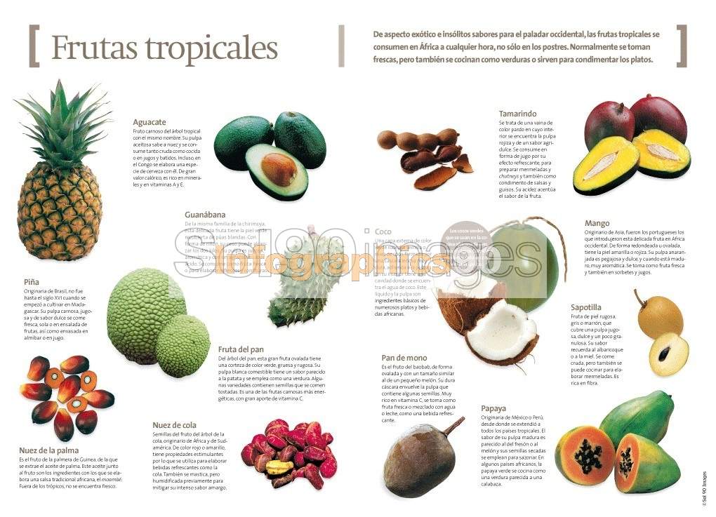 Infografía Frutas Tropicales | Infographics90