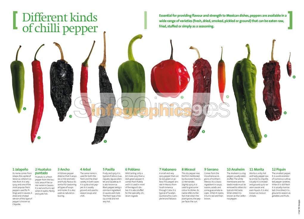 Infografía Variedades De Chiles | Infographics90