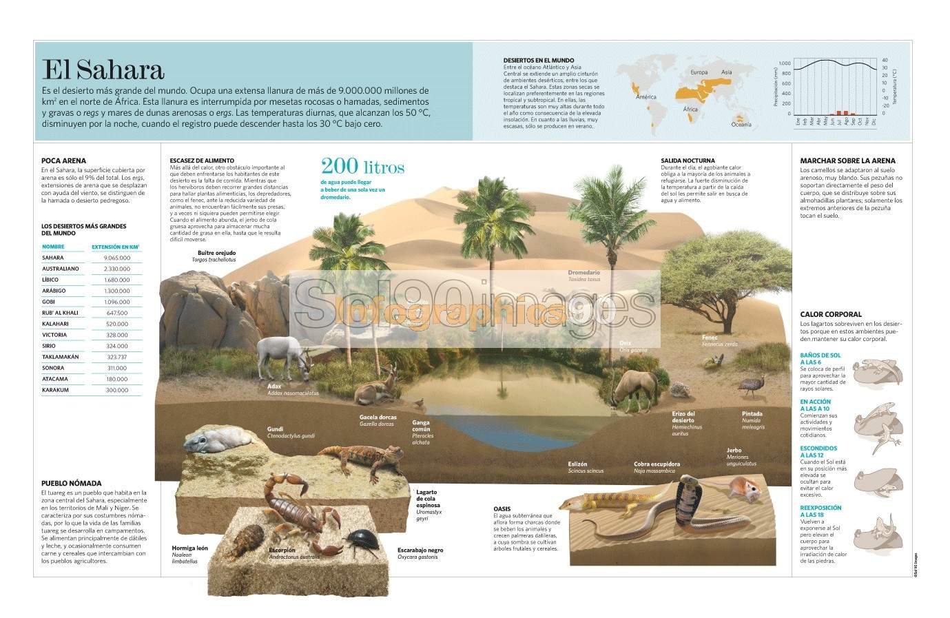 Infografía El Sahara | Infographics90