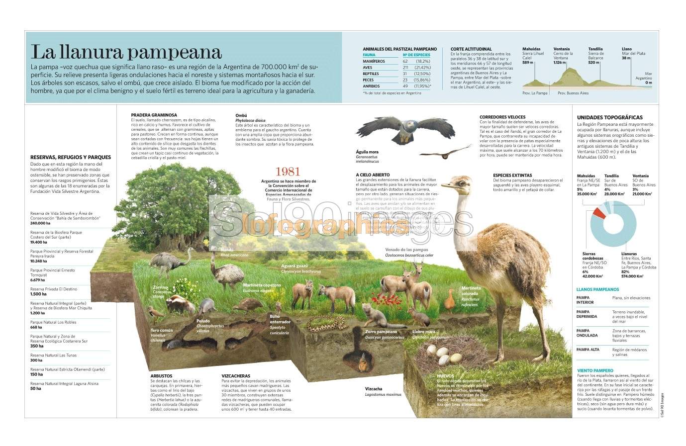 Infografía La Llanura Pampeana | Infographics90