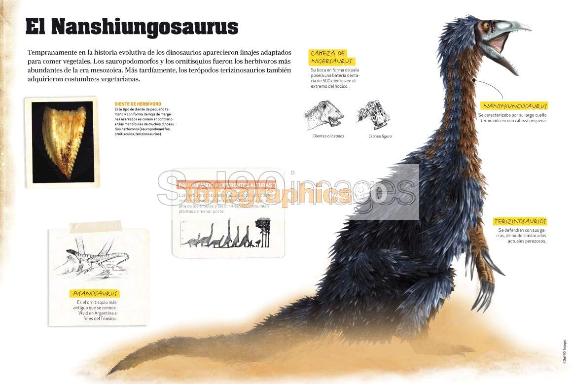 Infografía El Nanshiungosaurus | Infographics90