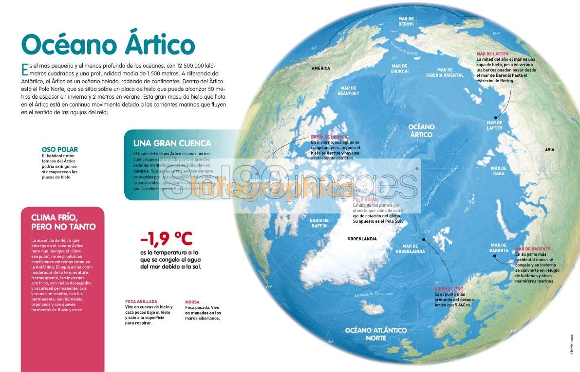 Infografía Océano Ártico | Infographics90
