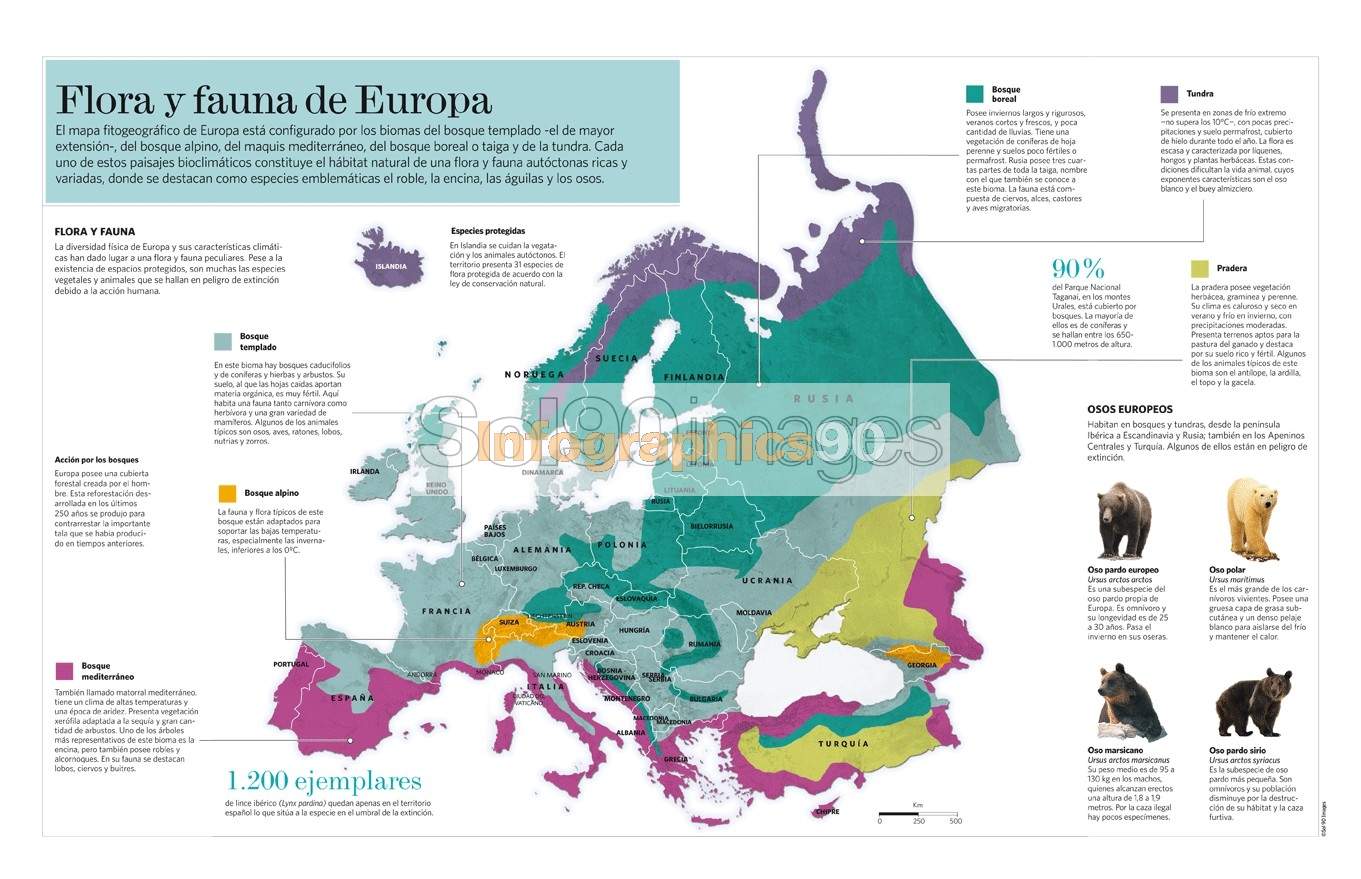 Infografía Flora Y Fauna De Europa | Infographics90