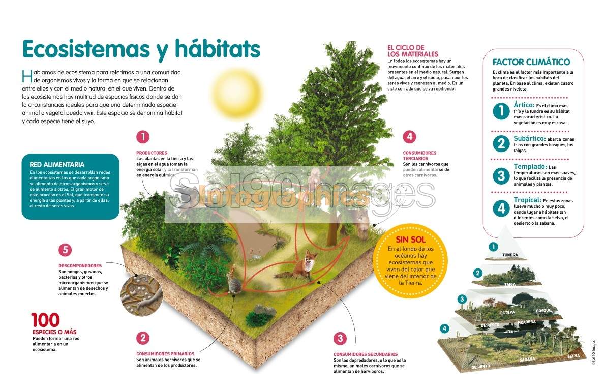 Infografía Ecosistemas Y Hábitats | Infographics90