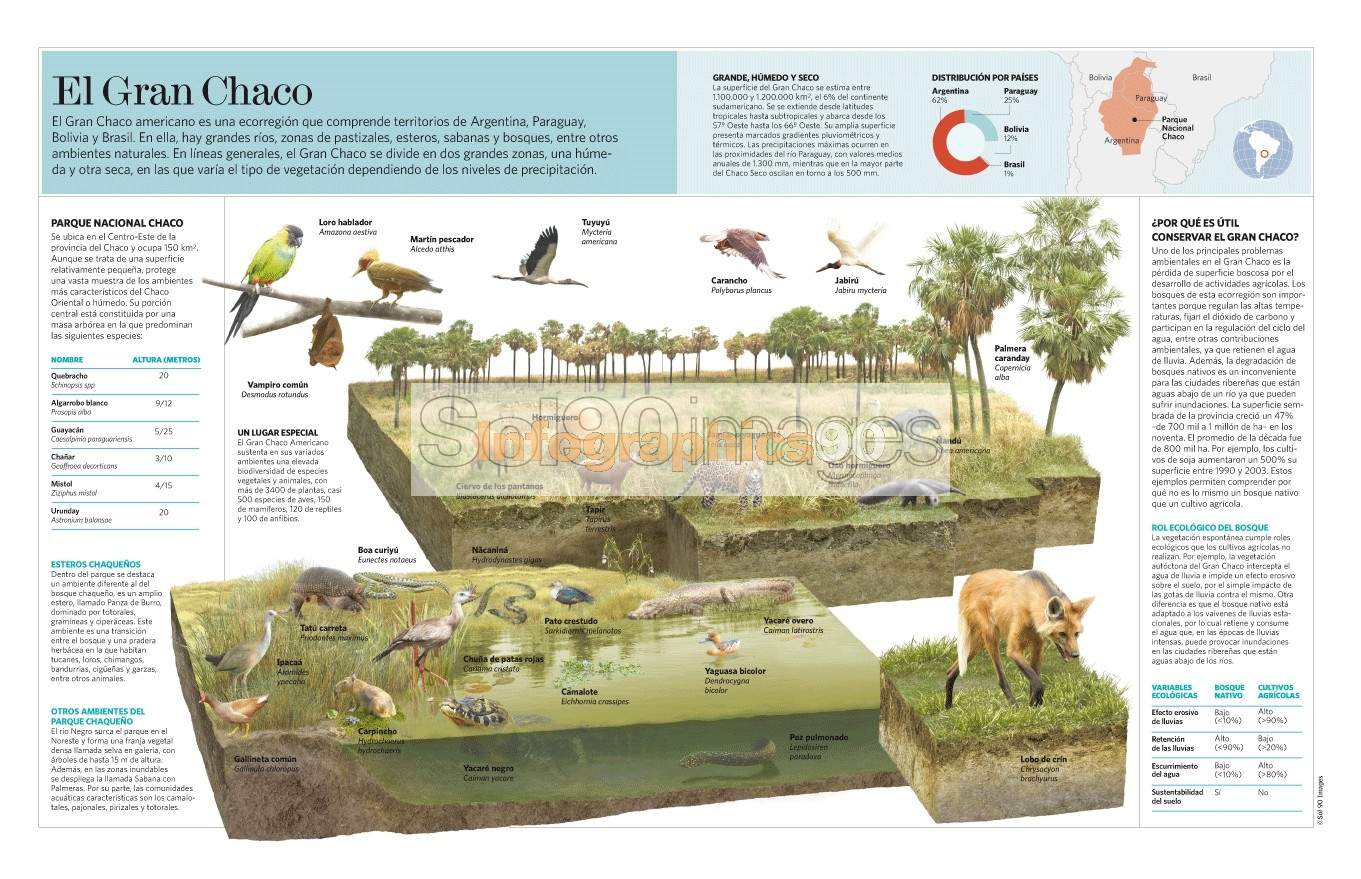 Infografía El Gran Chaco | Infographics90