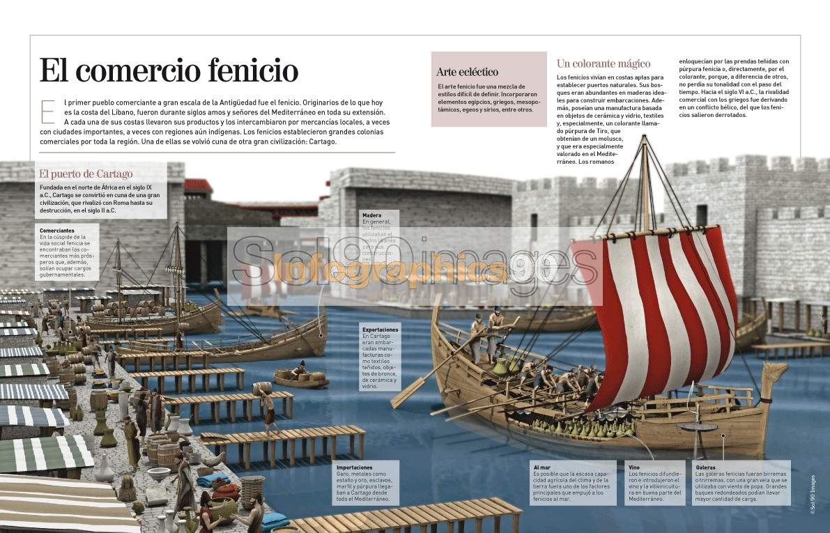 Infografía El Comercio Fenicio | Infographics90
