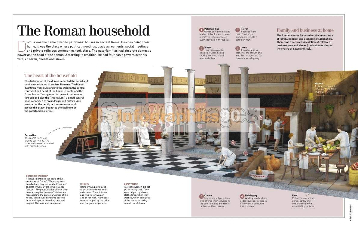 Infographics The Roman Household | Sol90
