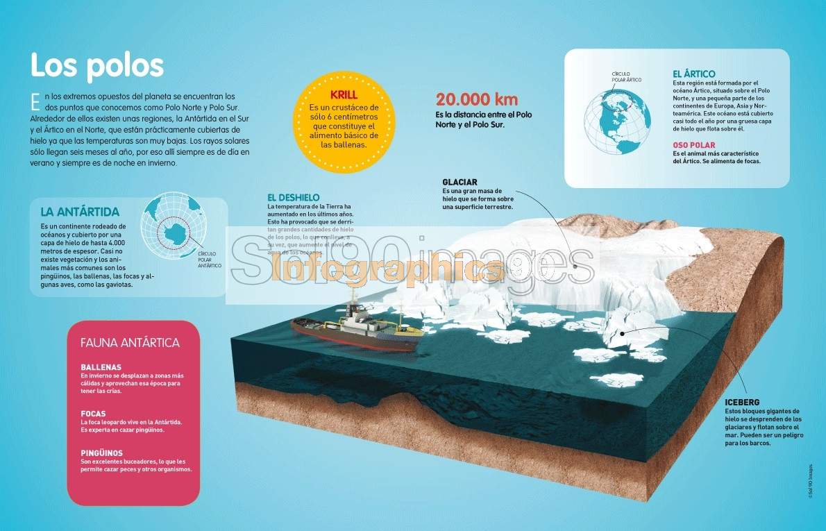 Infografía Los Polos | Infographics90
