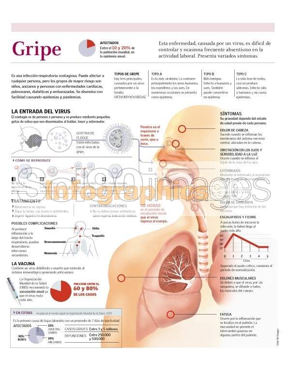 Infografía Gripe | Infographics90