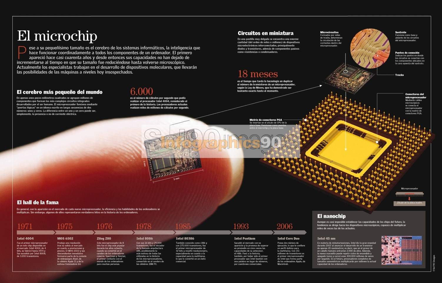 Infografía El Microchip | Infographics90