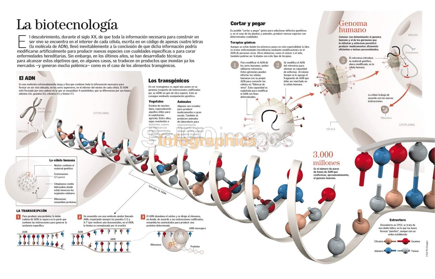 Infografía La Biotecnología Infographics90