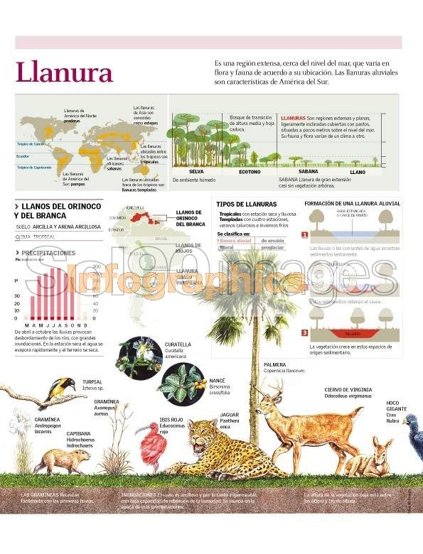 Infografía Llanura | Infographics90