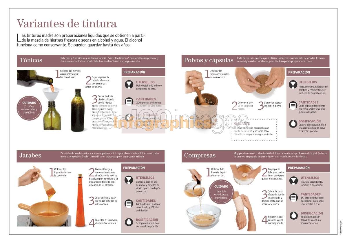 Infografía Variantes De Tintura | Infographics90