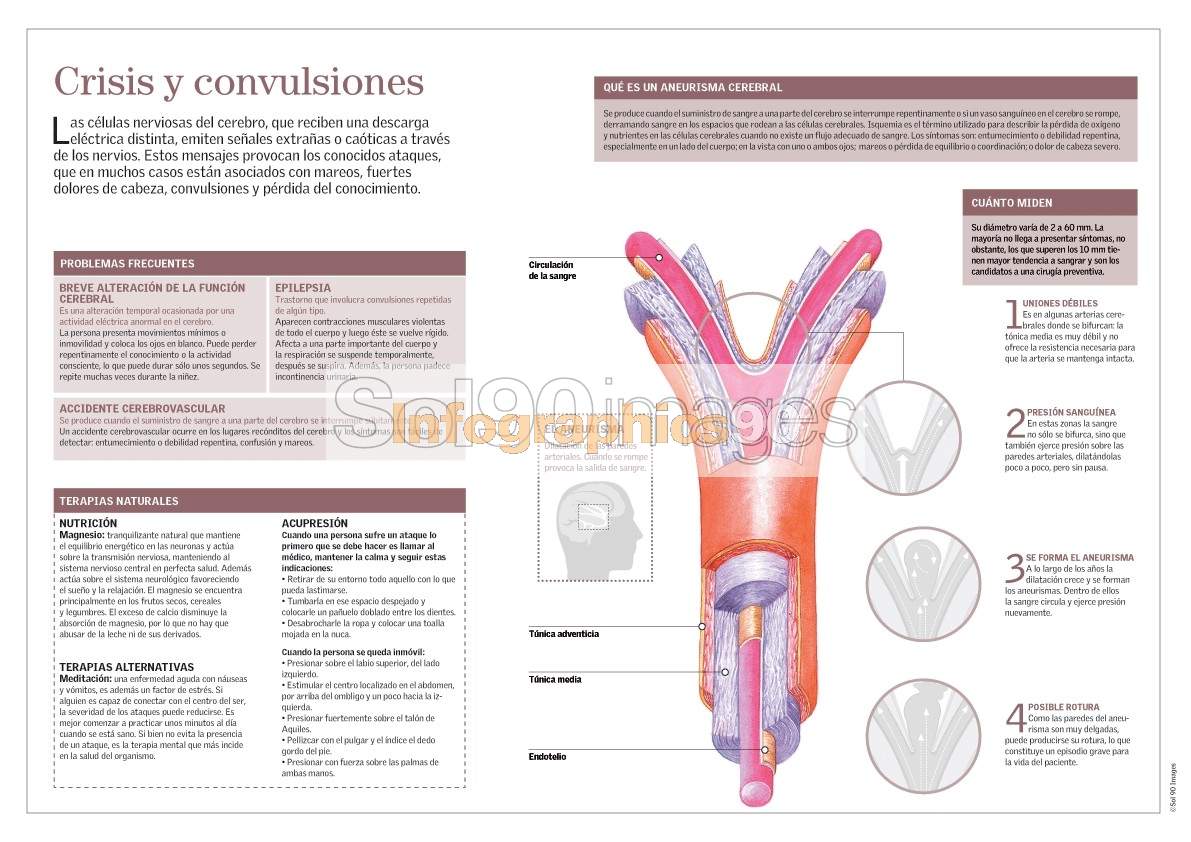 Infografía Crisis Y Convulsiones | Infographics90