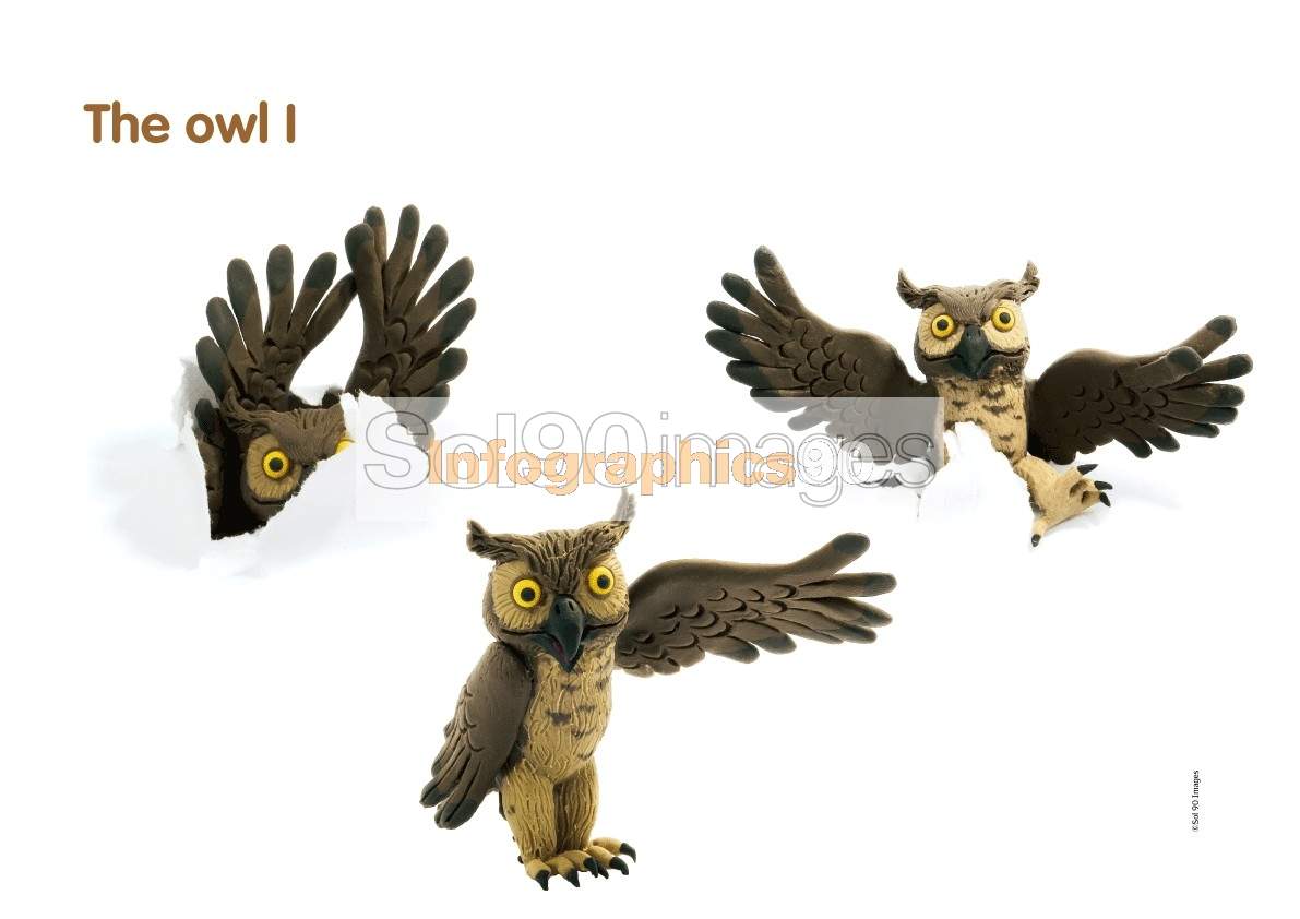 Infografía El Búho I | Infographics90