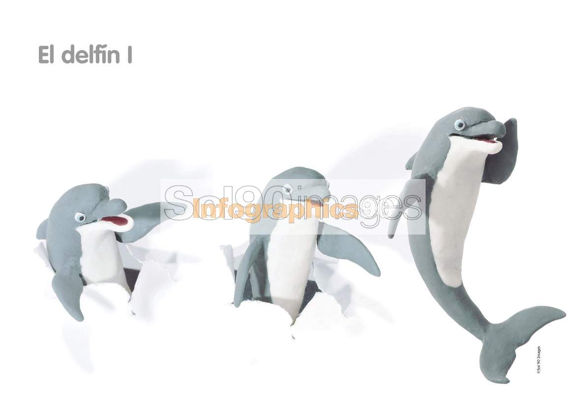 Infografía El Delfín I | Infographics90