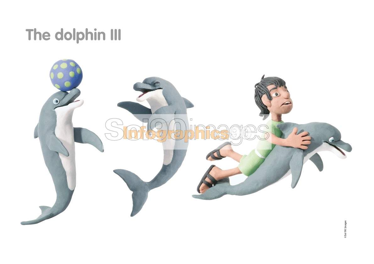 Infografía El Delfín Iii | Infographics90