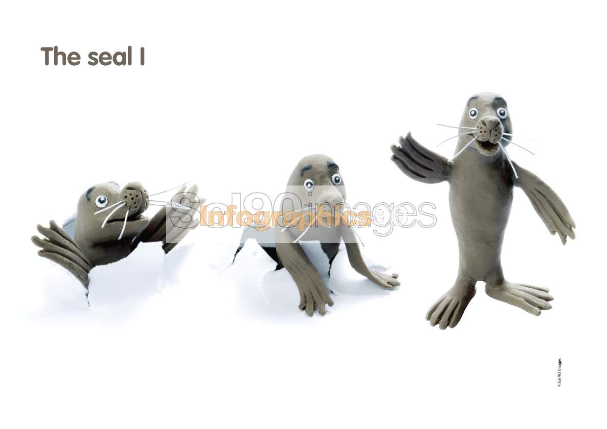 Infografía La Foca I | Infographics90