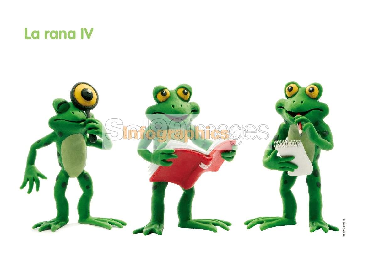 Infografía La Rana Iv | Infographics90