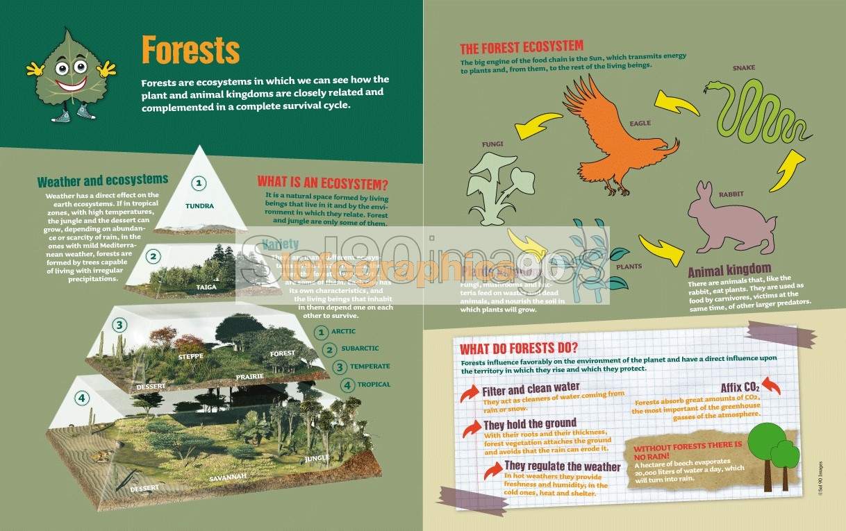 Infografía Los Bosques | Infographics90