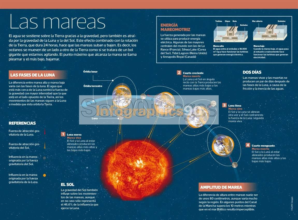 Infografía La Mareas | Infographics90