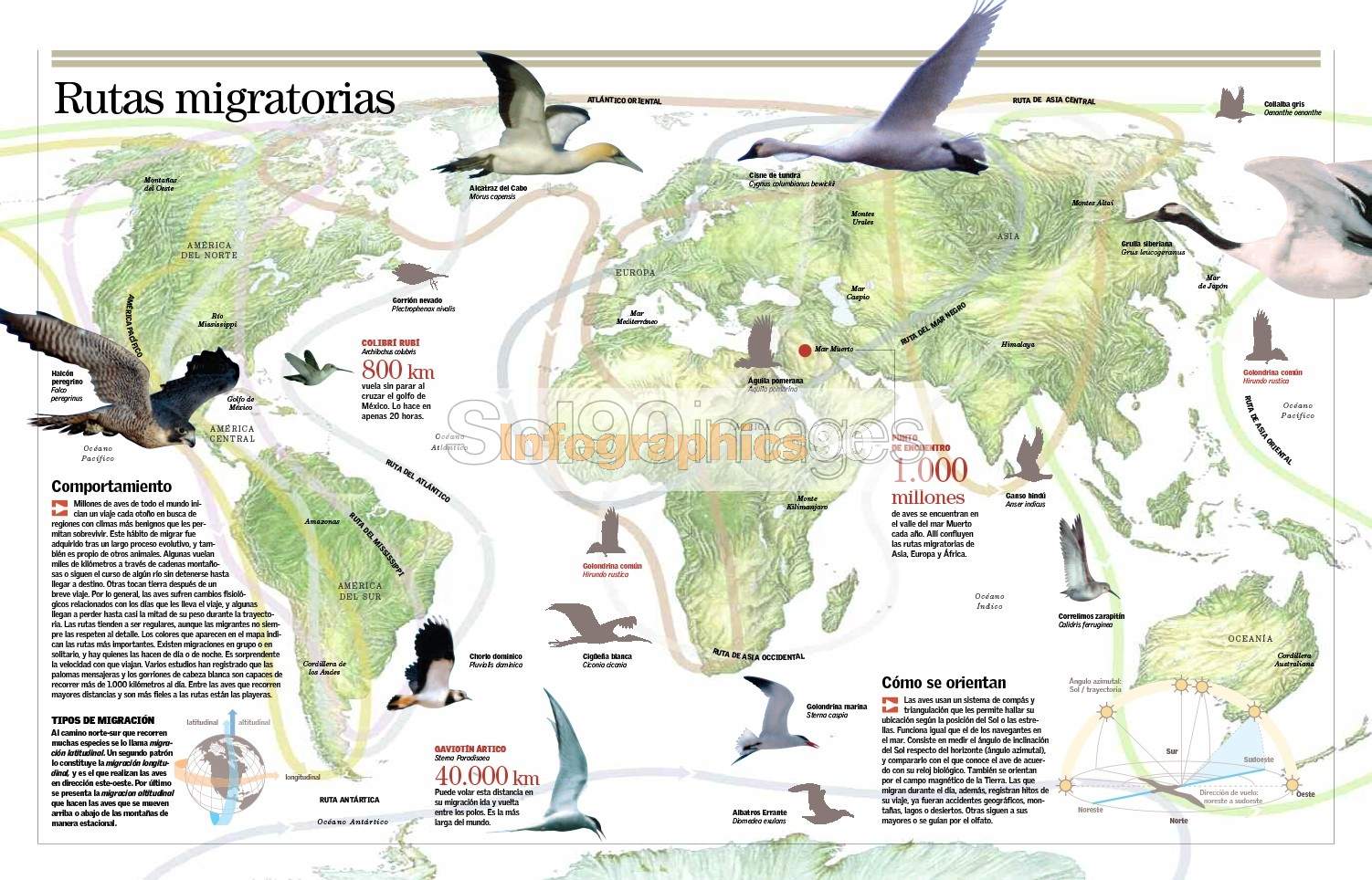 Infografía Rutas Migratorias | Infographics90