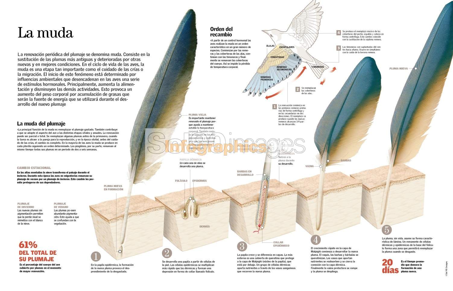 Infografía La Muda | Infographics90