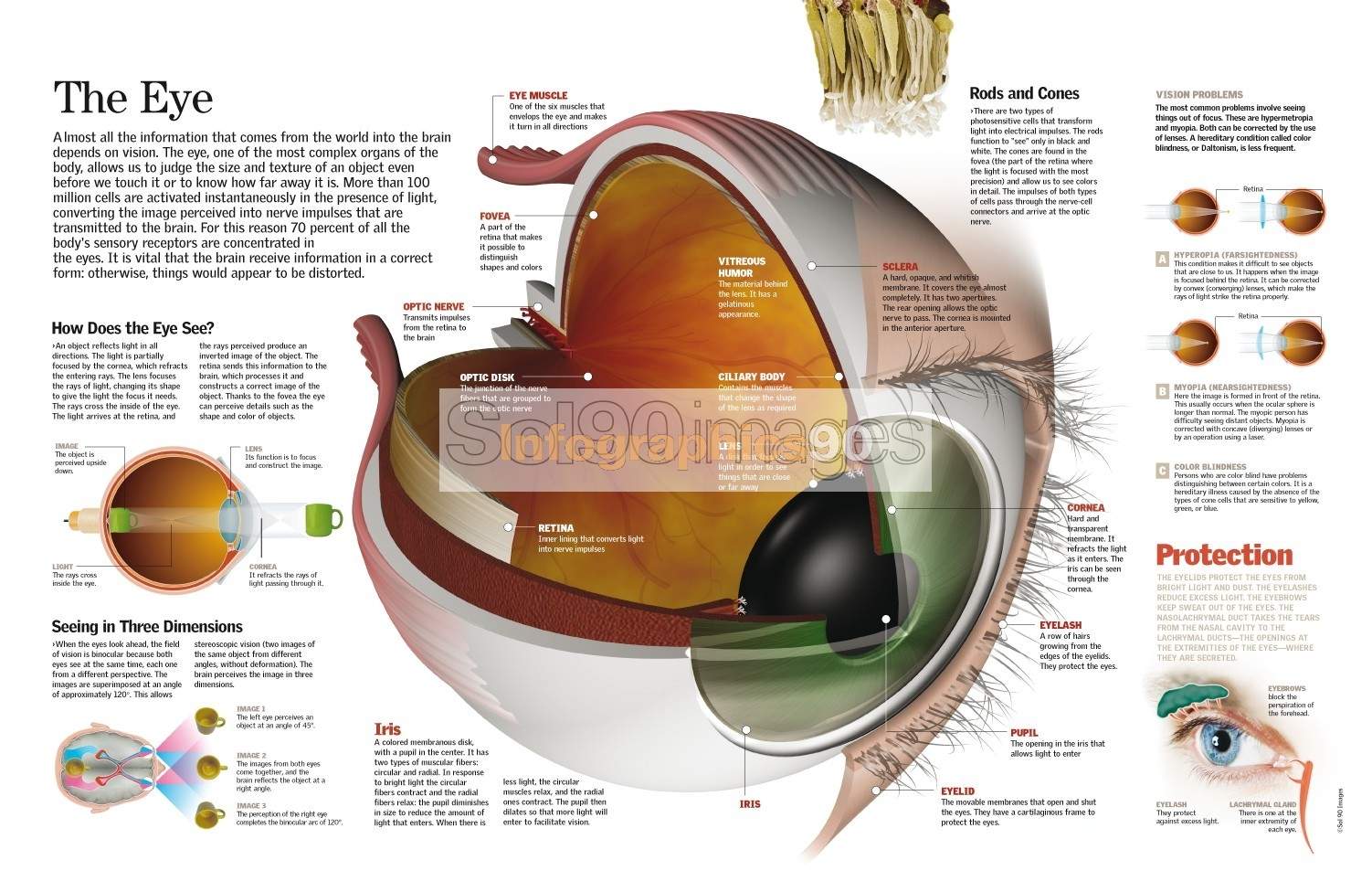 Infografía El Ojo | Infographics90