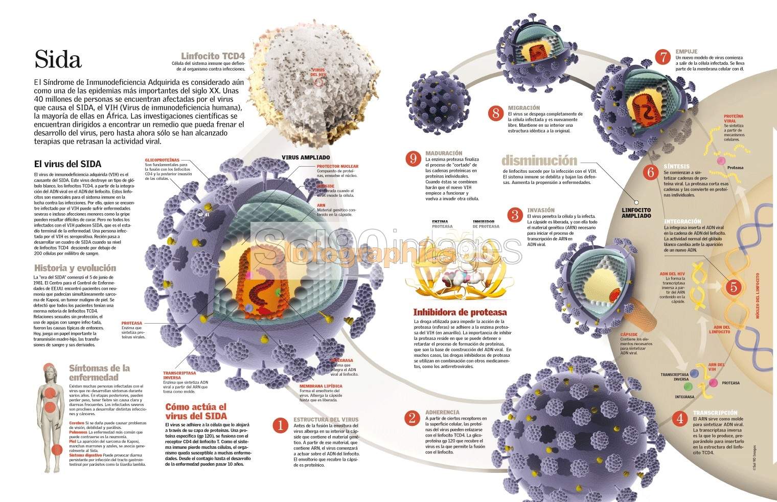 Infografía El Sida | Infographics90