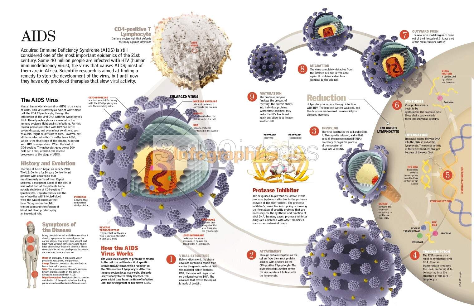 Infografía El Sida | Infographics90