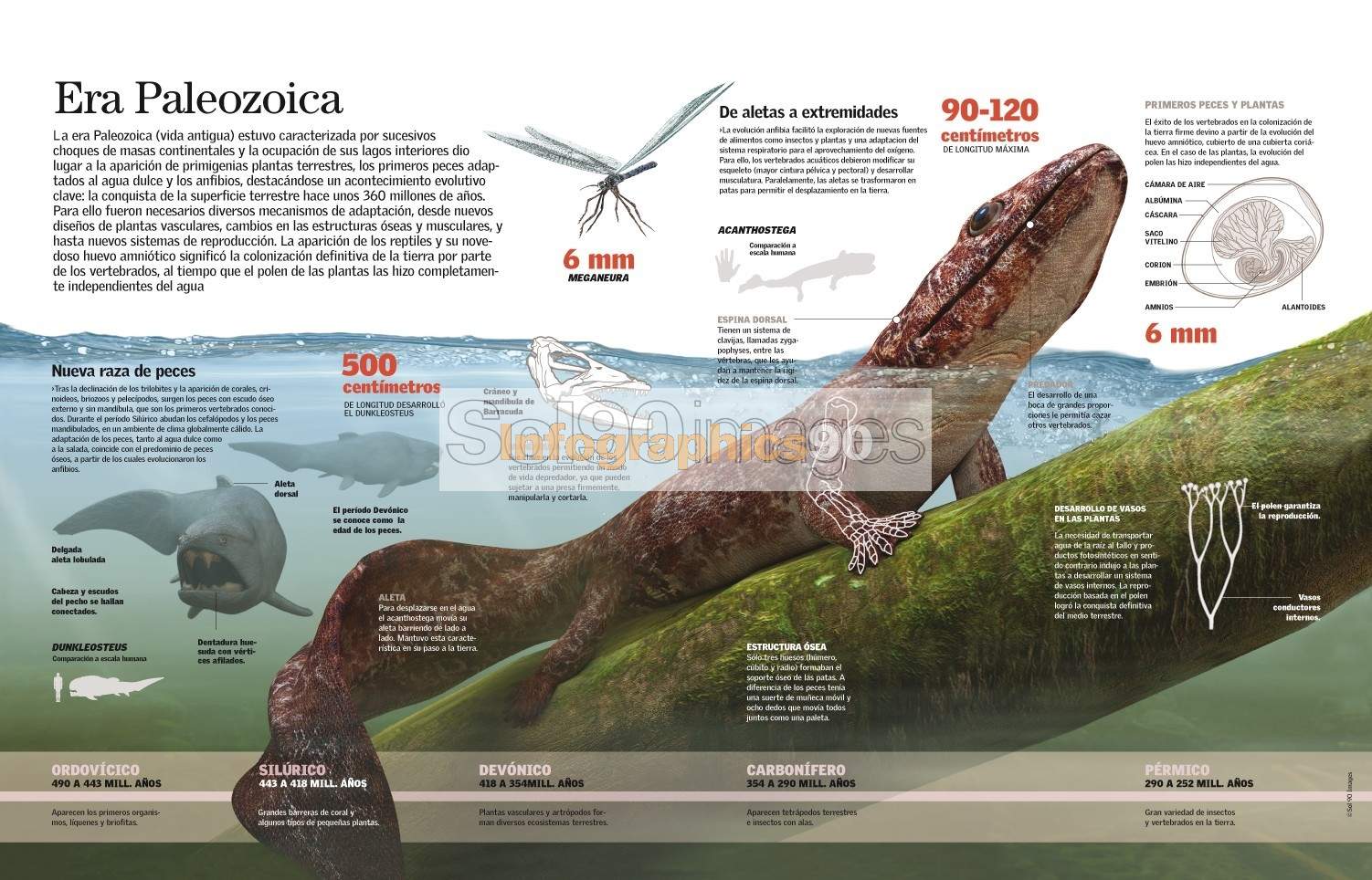 Infografía Era Paleozoica | Infographics90